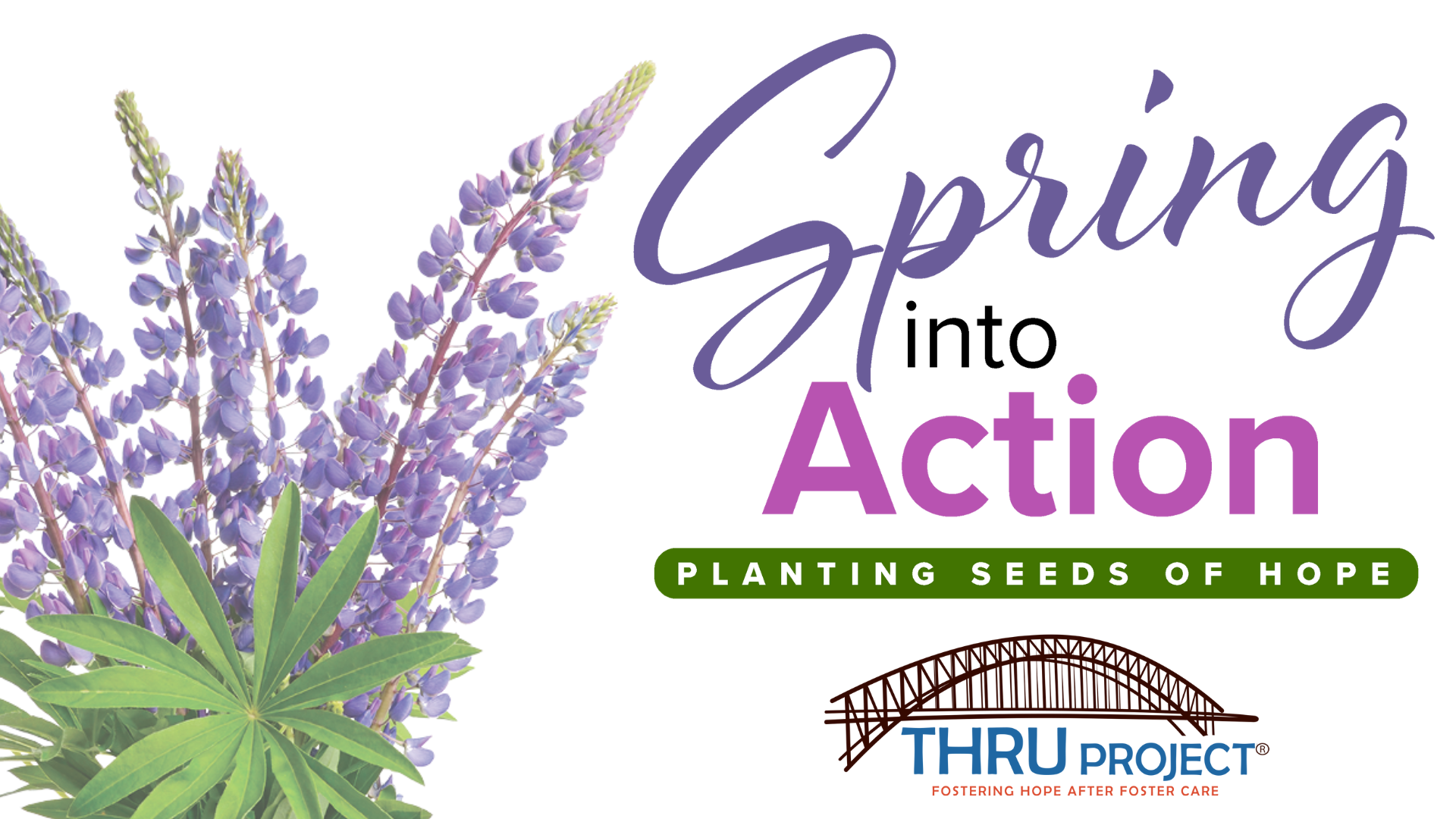 Foster Care Awareness Month Informational Panel - THRU Project ...