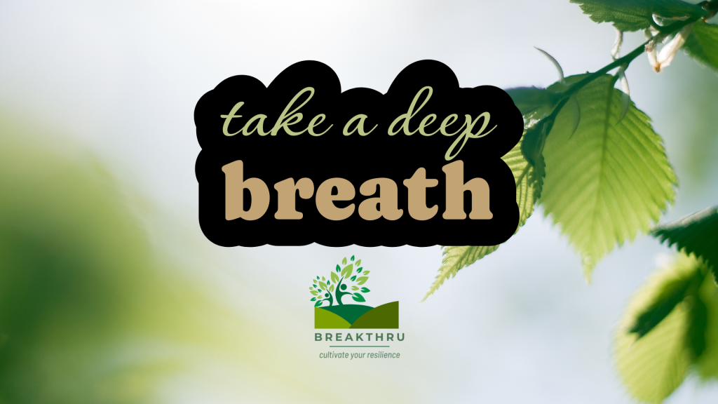 Harnessing the Power of Breath: A Tool for Well-being - THRU Project ...